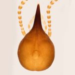 The Biodiversity of Singapore